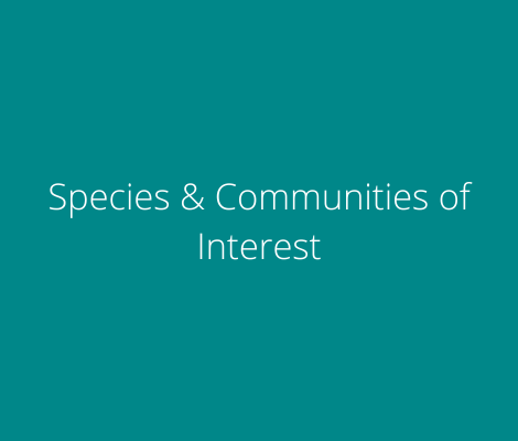 Species & Communities of Interest - Biosis