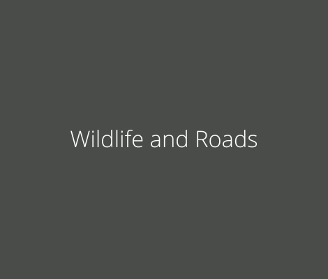 Wildlife and Roads - Biosis