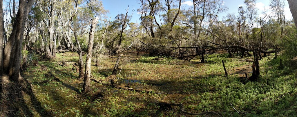 Important changes to the Victorian Native Vegetation Removal ...