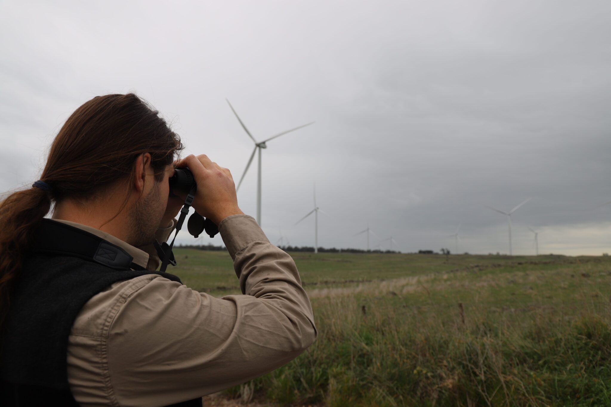 Bird Utilisation Surveys for Wind Farms - Biosis